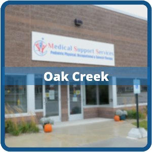 About Our Services and Mission - Medical Support Services